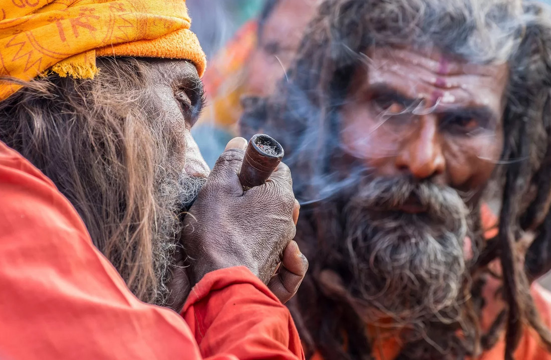 Where Does Weed Come From? A Complete Guide to Its Origins and Evoluti